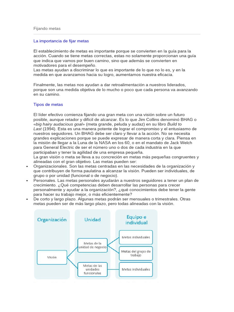 Fijando Metas | PDF | Liderazgo | Motivacional