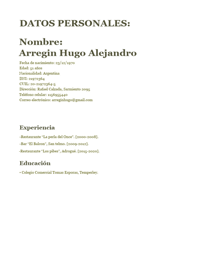 Curriculum Hugo Alejandro Arregin | PDF