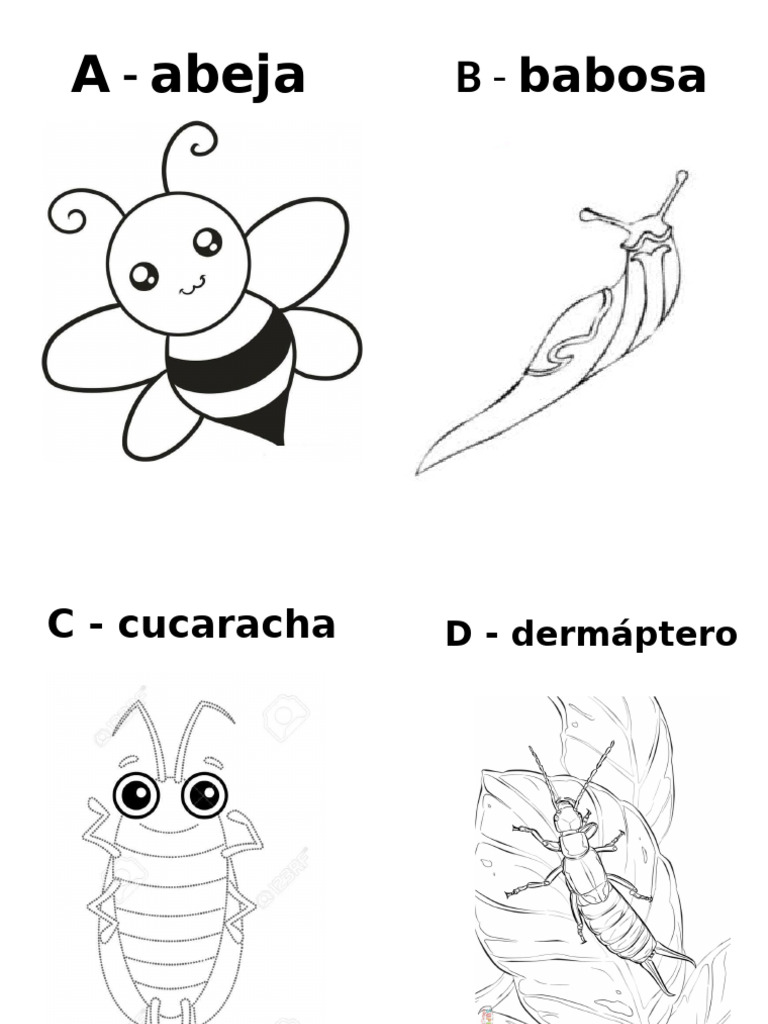 Abecedario de Insectos: A a Z | PDF