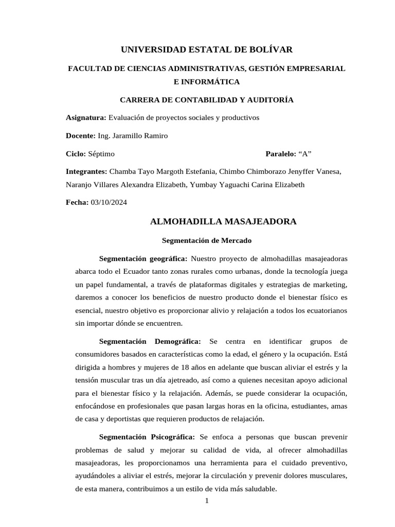 Segmentación De Mercado Para Almohadillas Masajeadoras Pdf