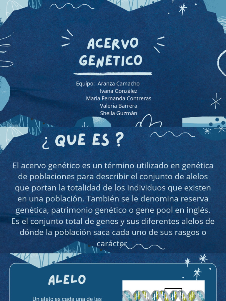 ACERVO GENETICO _20240521_192513_0000 | PDF | Alelo | Gene