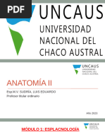 Anatomía de la lengua y paladar en animales | PDF | Lengua | Boca