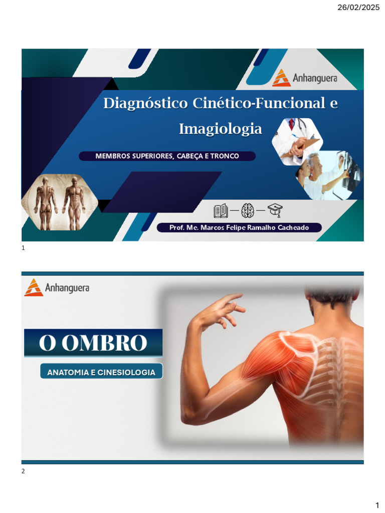 AULA 2 - ANATOMIA E CINESIOLOGIA DO OMBRO parte 2 | PDF | Ombro | Anatomia