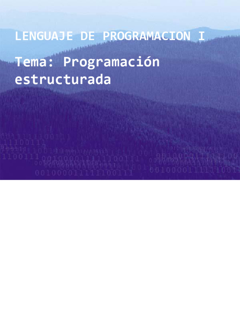 4 Programacion Estructurada | PDF