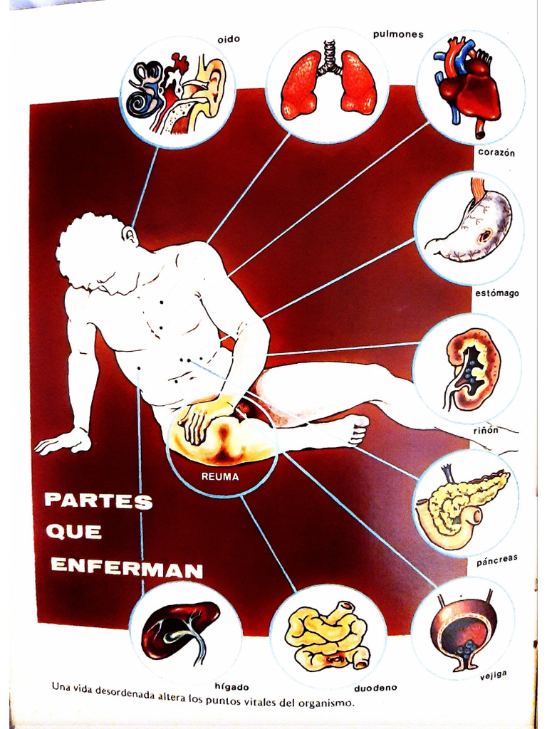 Vida Desordenada y Puntos Vitales Del Organismo 20250313 23.00.32 | PDF