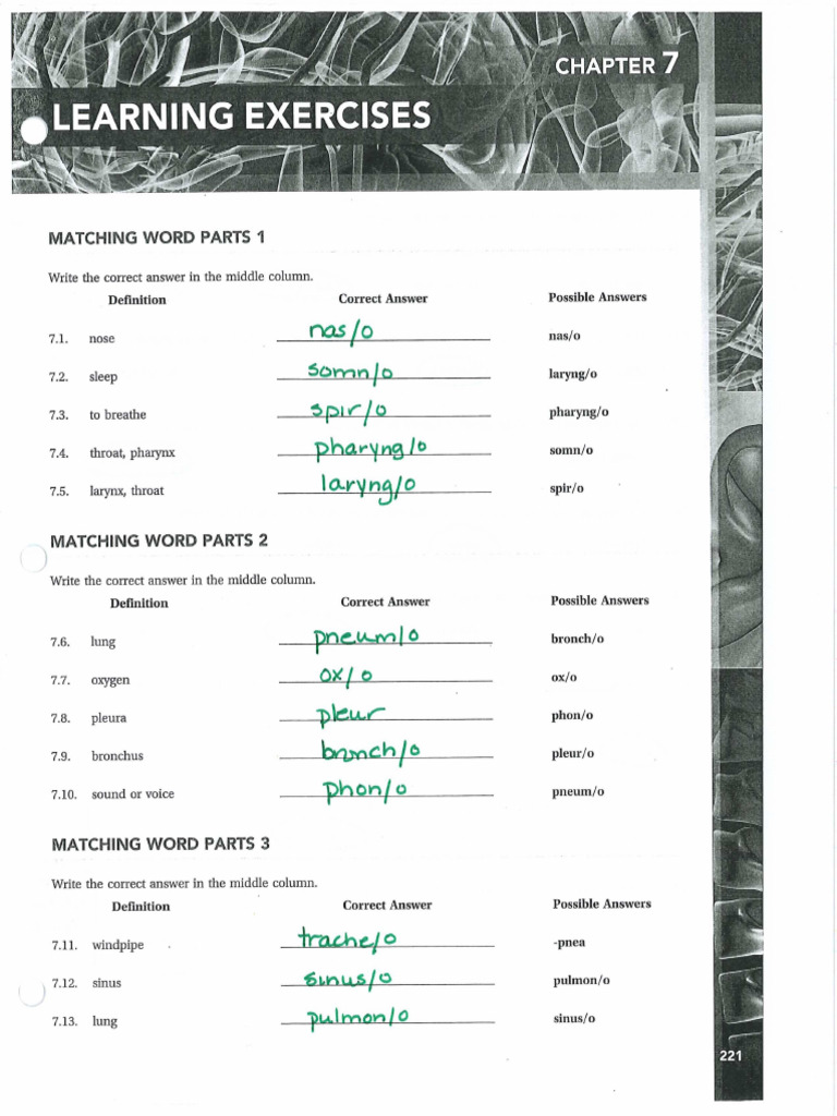 Learning Exercises Chapter 7 - KEY | PDF