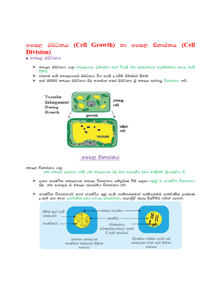 Grade 10 Science Unit 6 Part 3 | PDF