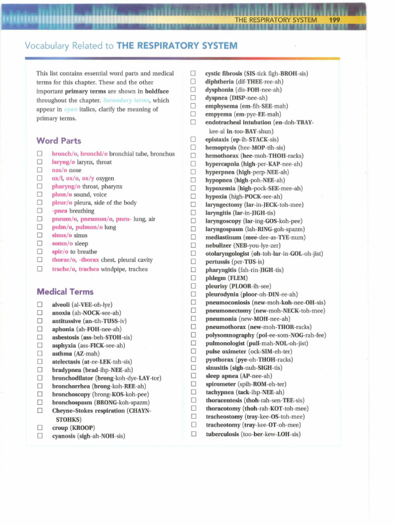 Chapter 7 - Respiratory System | PDF