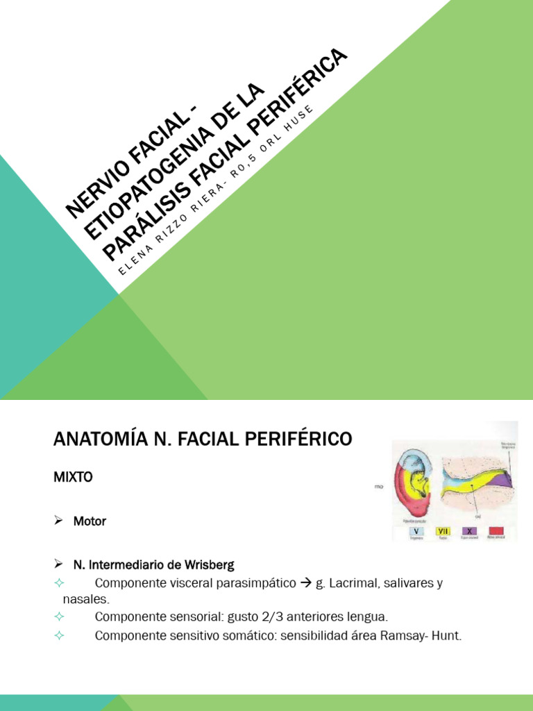 Etiopatogenia Paralisis F | PDF | Enfermedades y trastornos | Especialidades Medicas