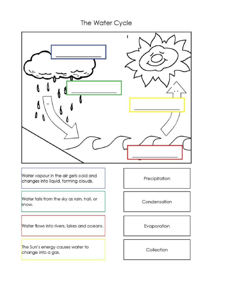 Water Cycle | PDF