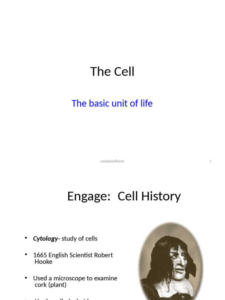 Overview of Cell Structure and Theory | PDF | Nucleic Acids | Rna