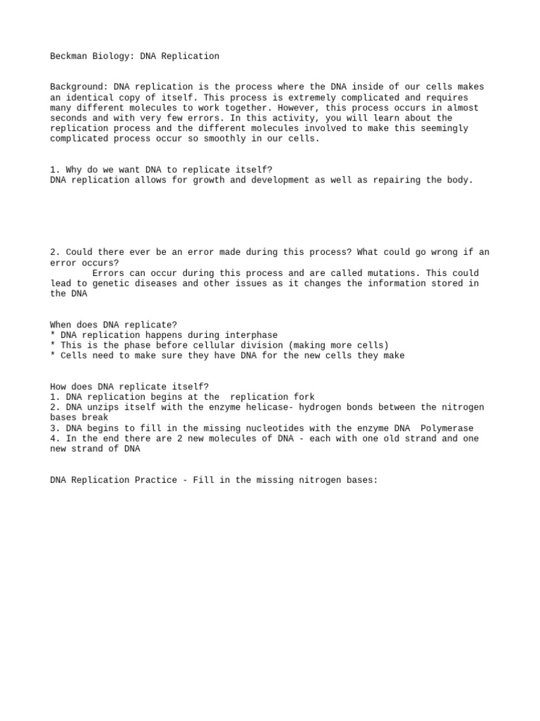 DNA Replication Process Explained | PDF