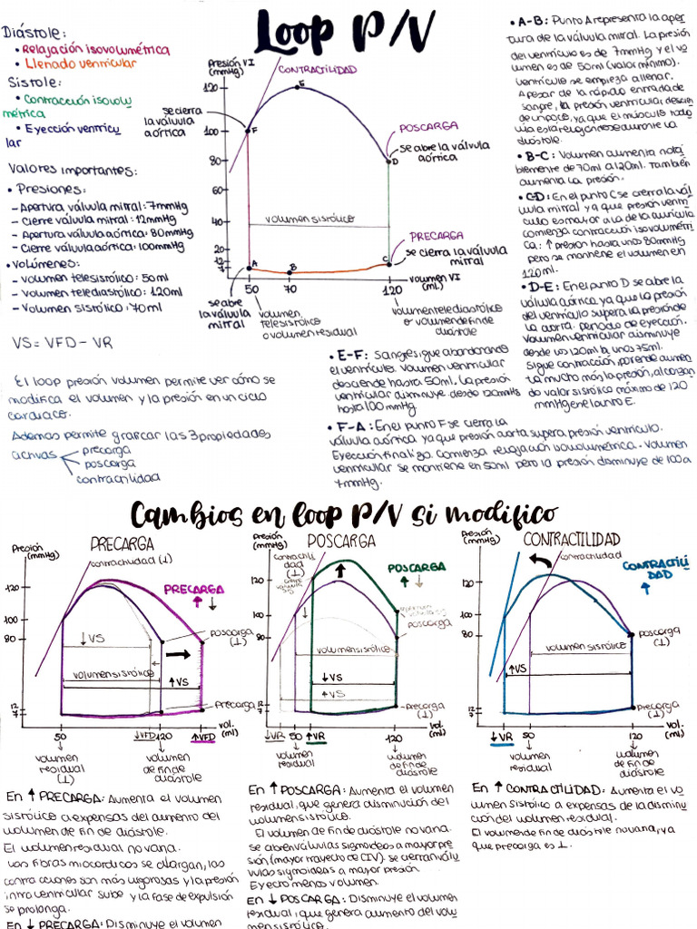 3.loop P - V | PDF