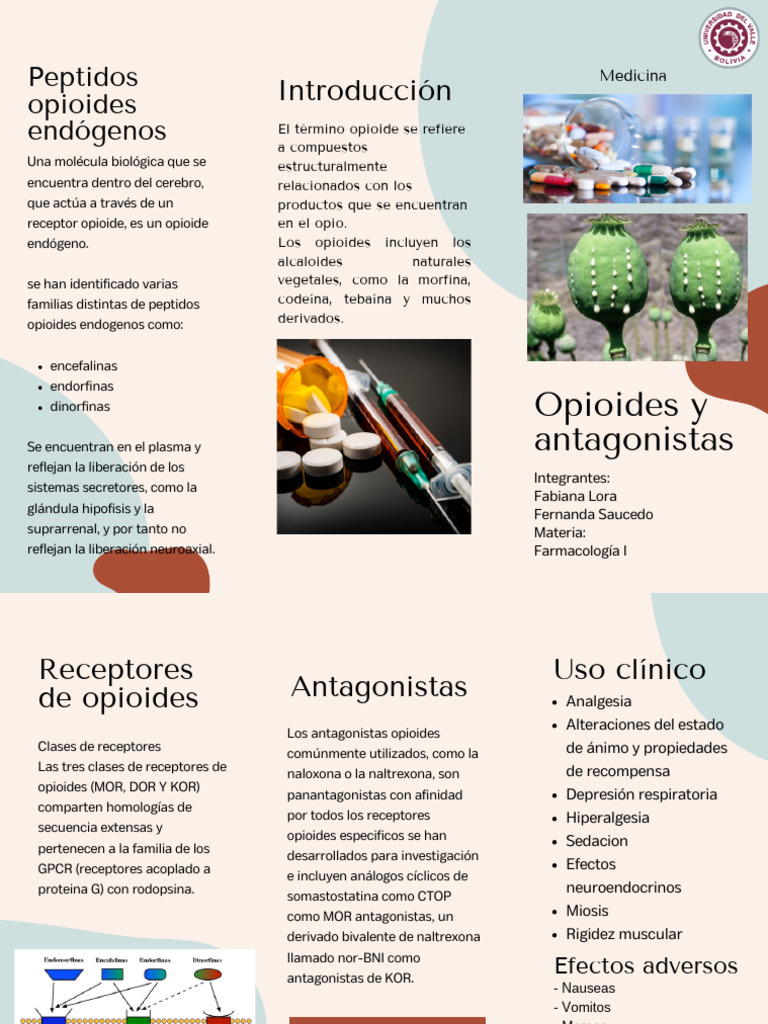 Opioides y antagonistas | PDF | Opioide | Drogas