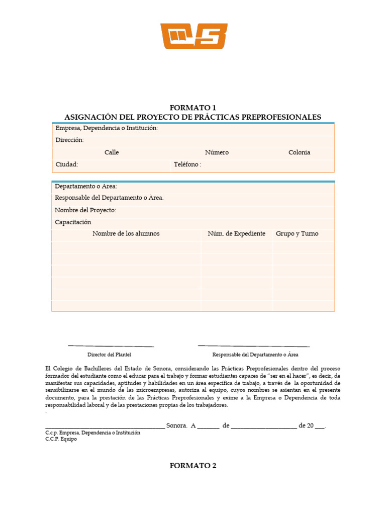 Formato Asignacion Proyecto Practicas Preprofesionales Agosto2022 | PDF