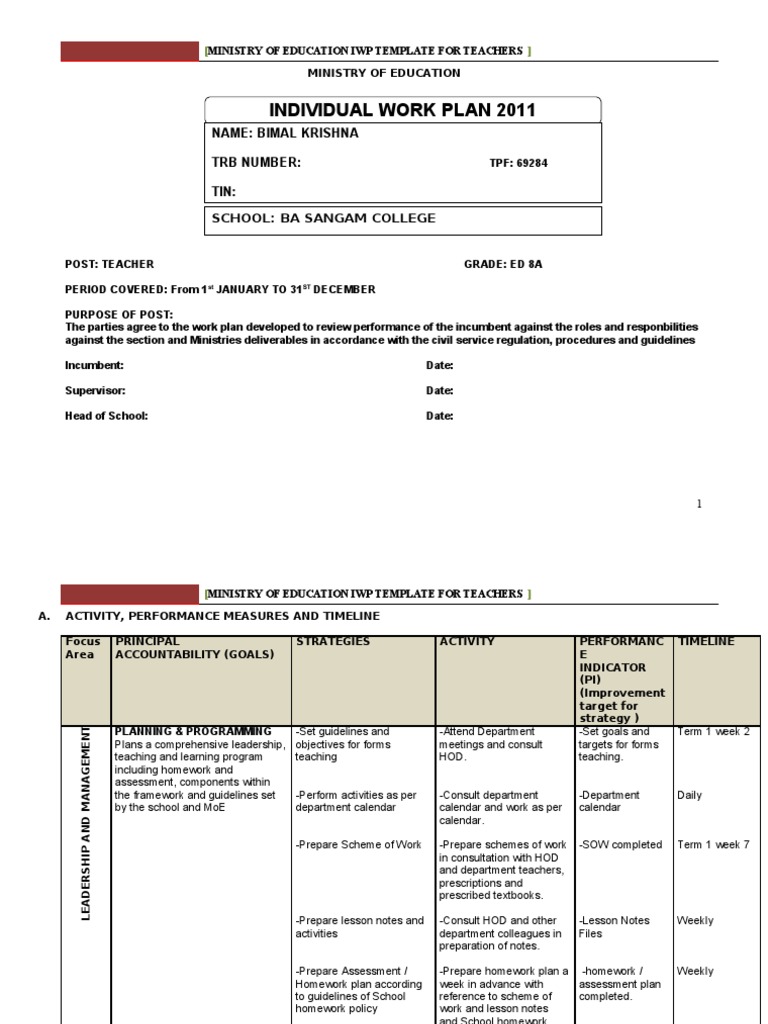 Individual Work Plan | PDF | Classroom Management | Teachers