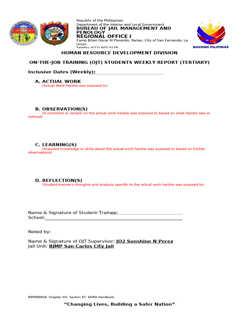 OJT Weekly Report | PDF
