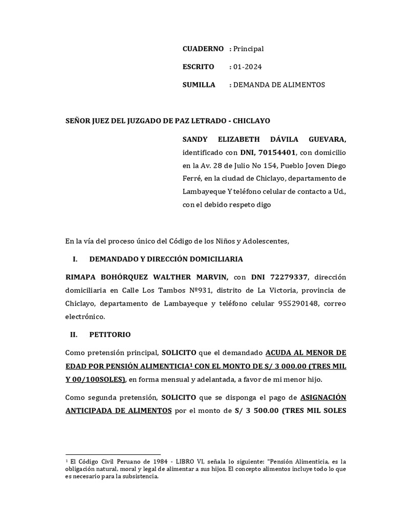 Demanda Alimentos Sandy | PDF | Pensión alimenticia | Farmacéutico