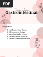 Kritel Gotas Prospecto | PDF | Estreñimiento | Enfermedades y trastornos