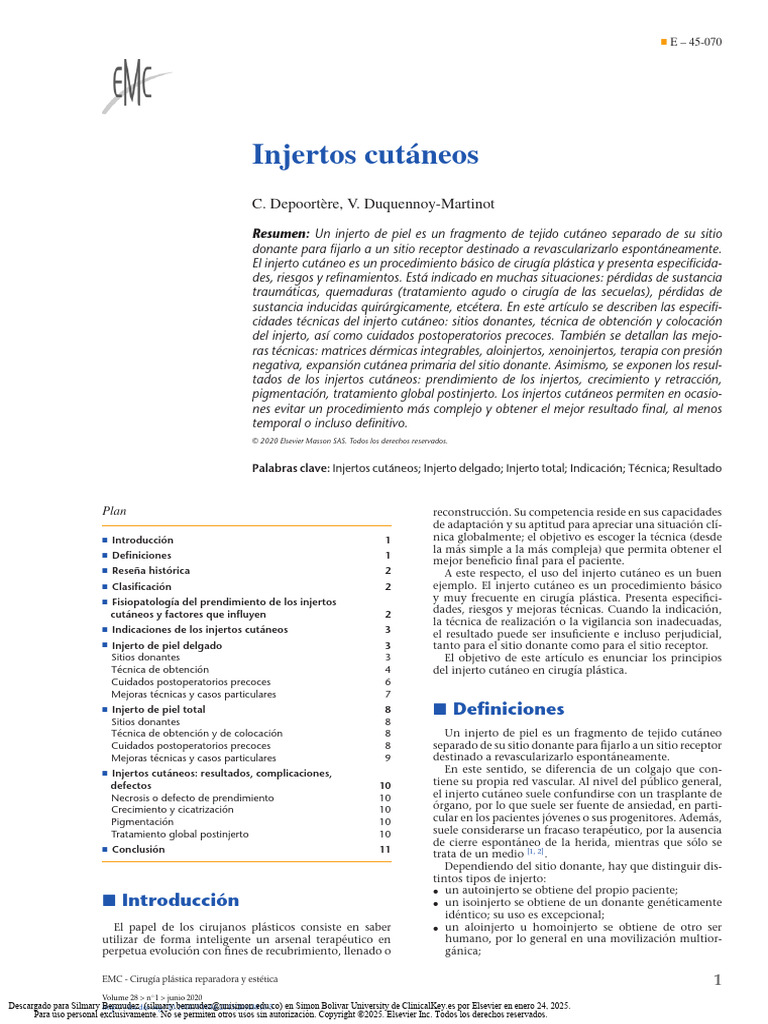 Injertos Cutáneos | PDF | Piel | Perdida de cabello