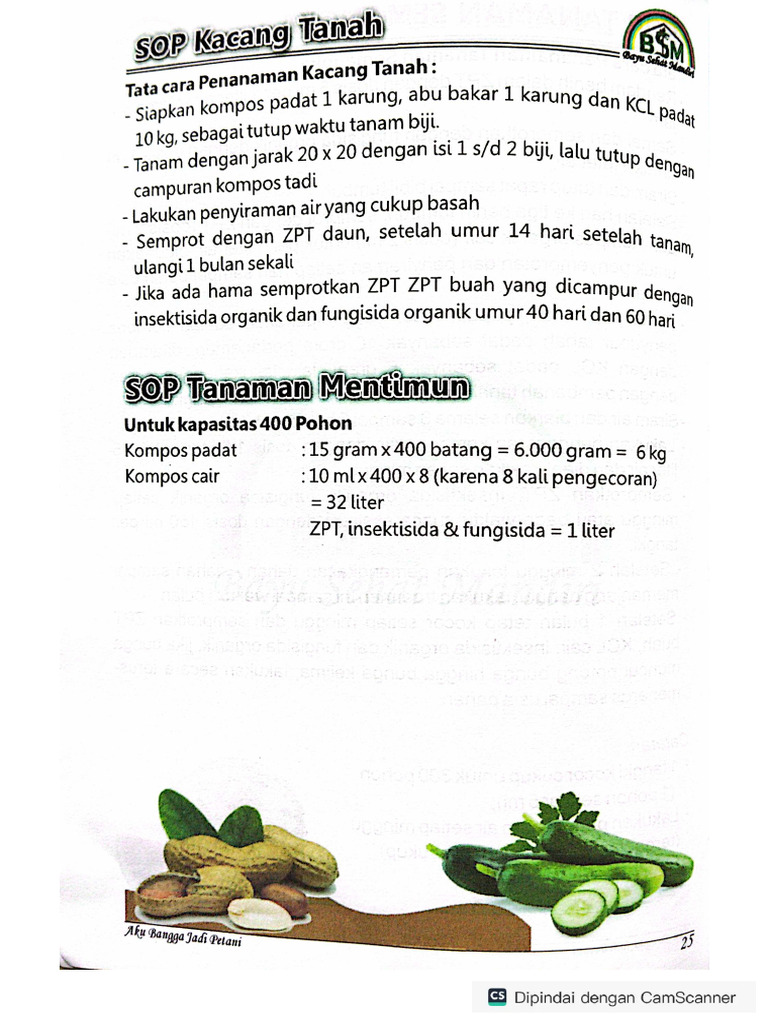 SOP Kacang Tanah & Mentimun | PDF