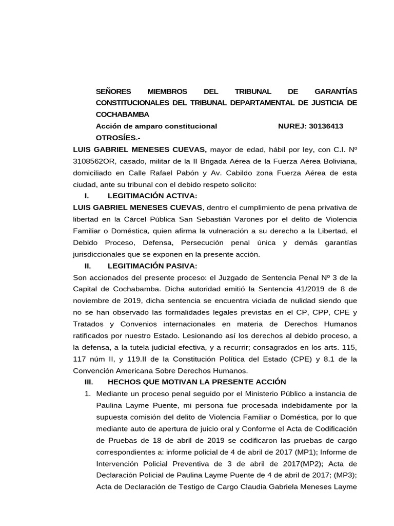 Accion de Amparo Constitucional | PDF | Debido al proceso | Caso de ley