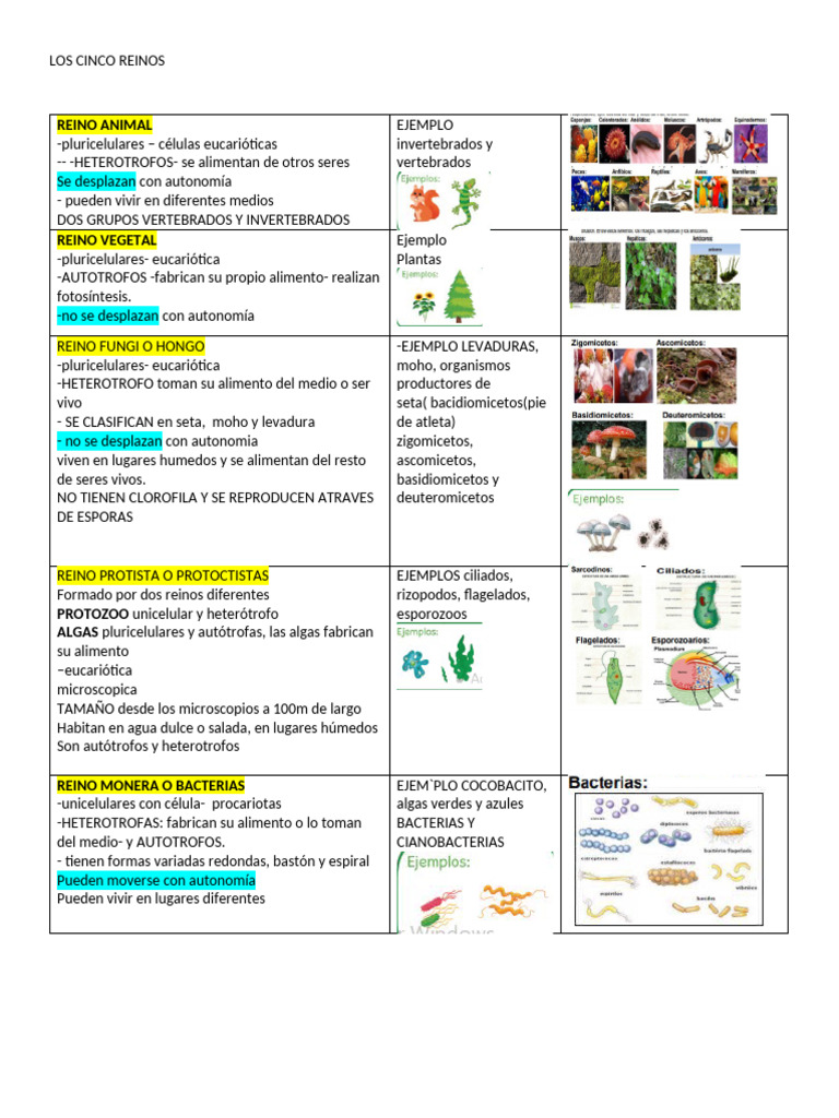 Clasificación de los 5 Reinos Vivos | PDF