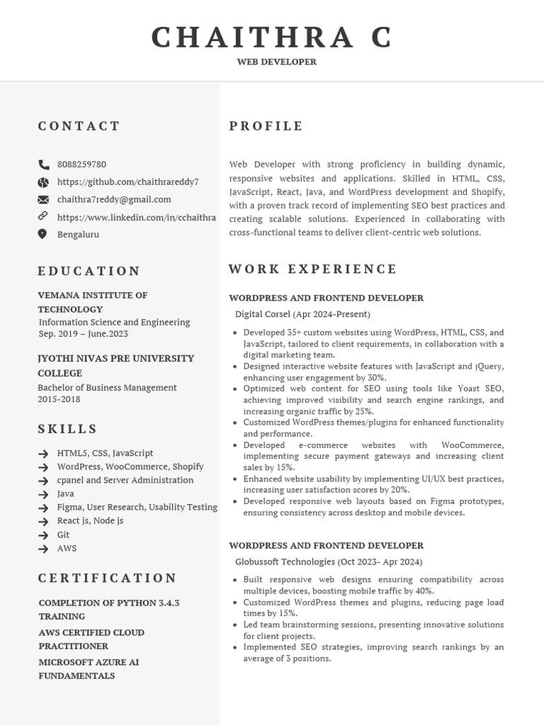 Web Developer & SEO Specialist Profile | PDF | World Wide Web ...