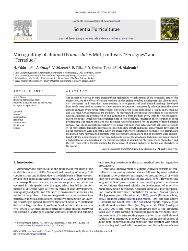 Micrografting of Almond | PDF | Grafting | Seed
