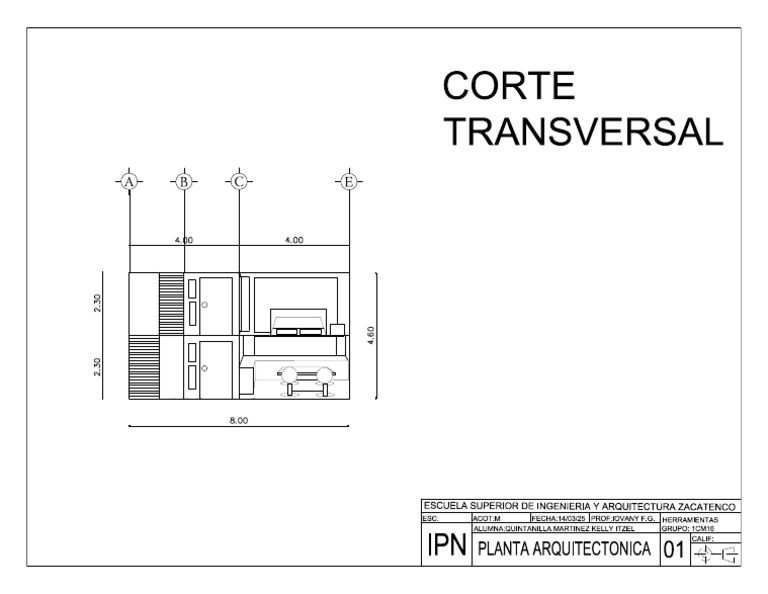 Corte Transversal | PDF