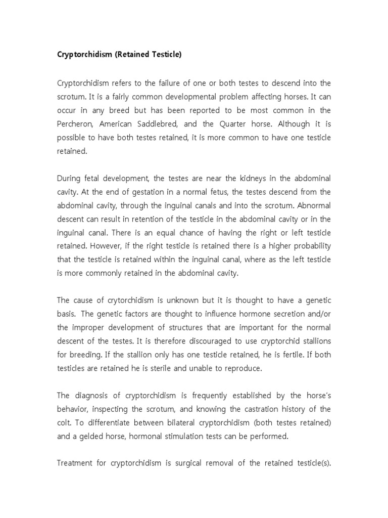 cryptorchidism-retainedTesticle (2) | PDF | Testicle | Human Reproduction