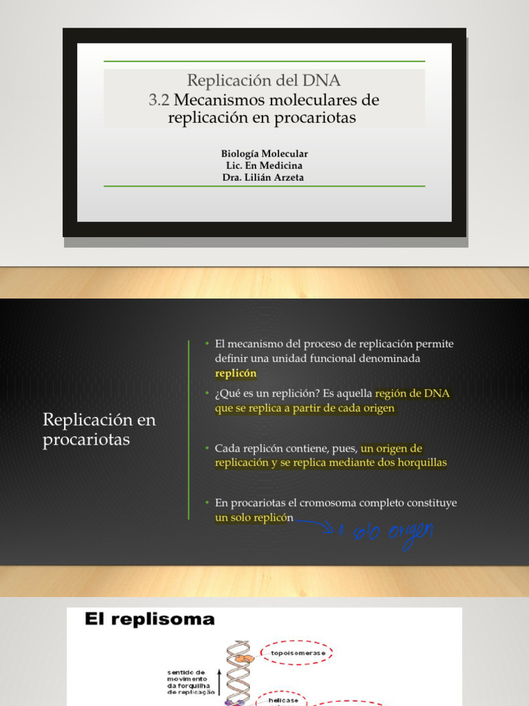 Replicación Procariotas 2022 | PDF | Replicación De Adn | Adn