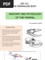 Triadan Tooth Numbering System | PDF