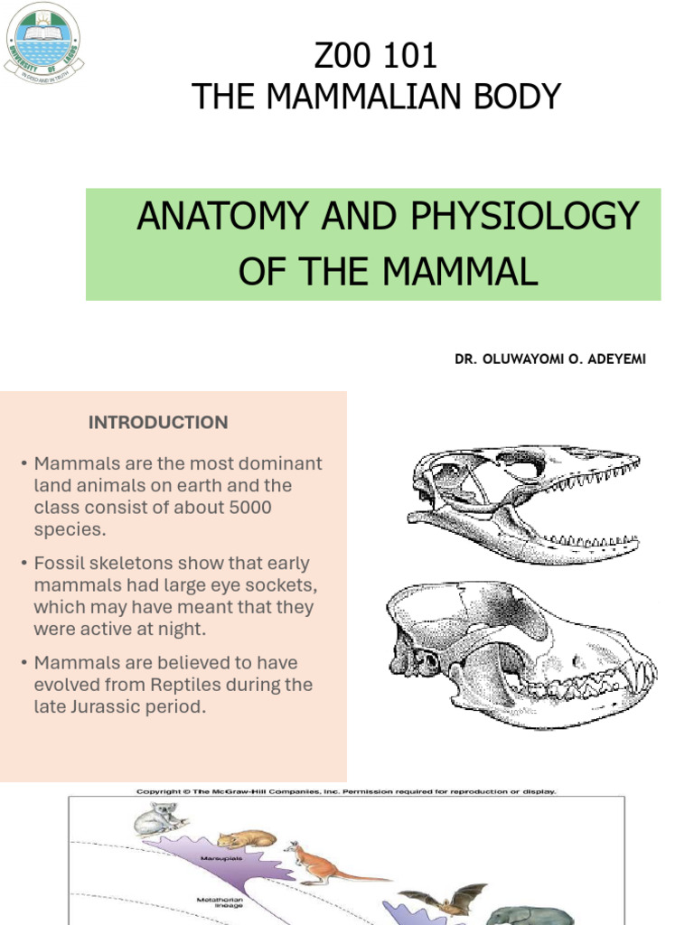 Anatomy and Physiology of Mammals | PDF | Mammals | Tooth