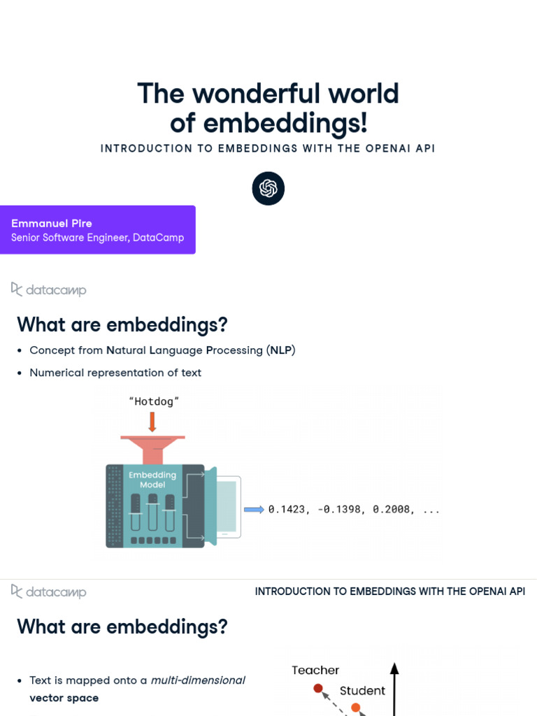 chapter1 AI embeddings | PDF | Machine Learning | Artificial Intelligence