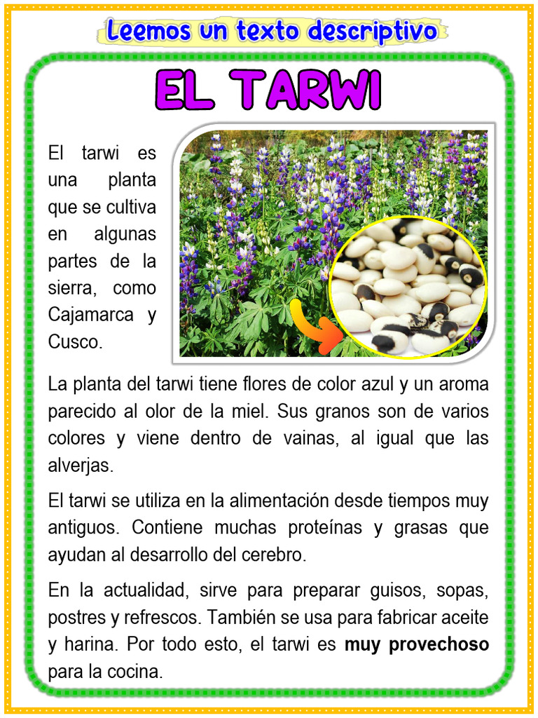 Ficha 01 Descripción de Una Planta Tarwi | PDF | Alimentos