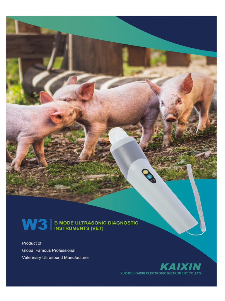 W3 Brochure | PDF