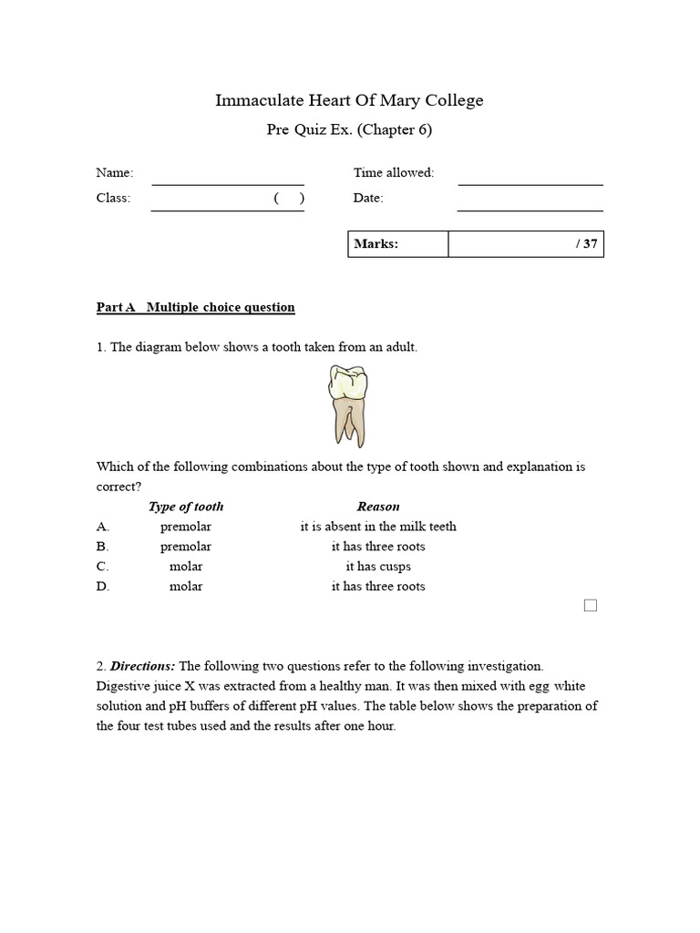Digestive System Quiz Questions | PDF | Digestion | Small Intestine