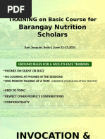 Barangay Nutrition Scholar Roles and Responsibilities: 1. Planning | PDF