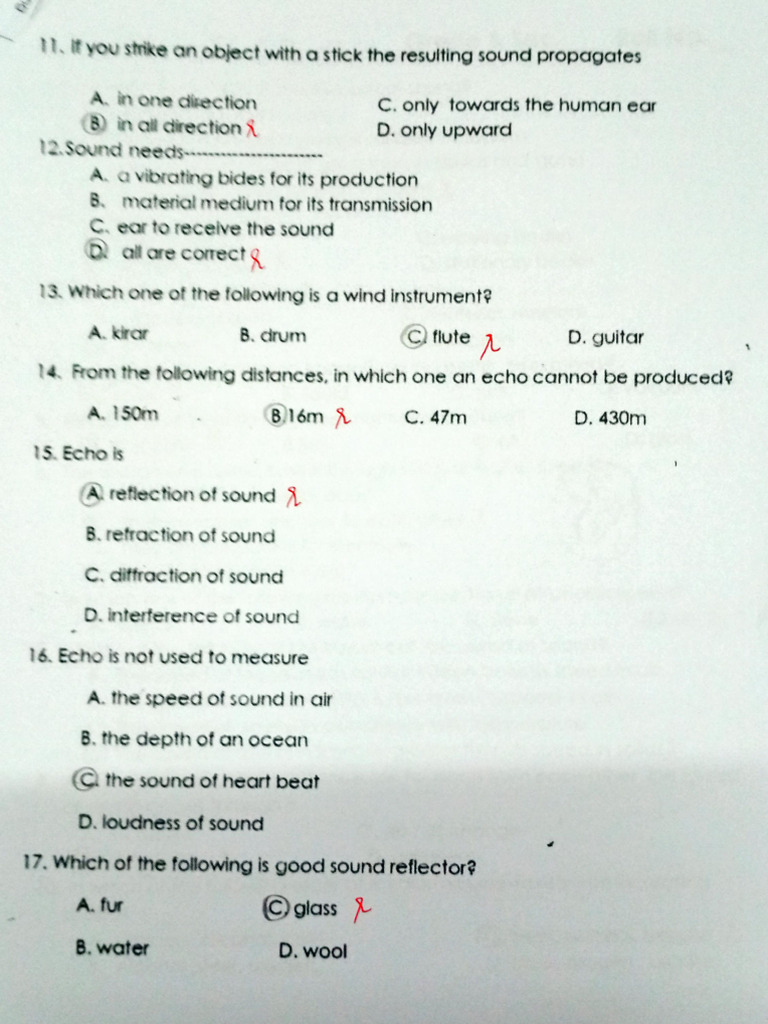 Sound Ws and Answer Key | PDF