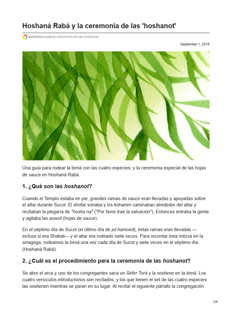 Hoshaná Rabá y La Ceremonia de Las Hoshanot | PDF | Sucot | Objetos ...