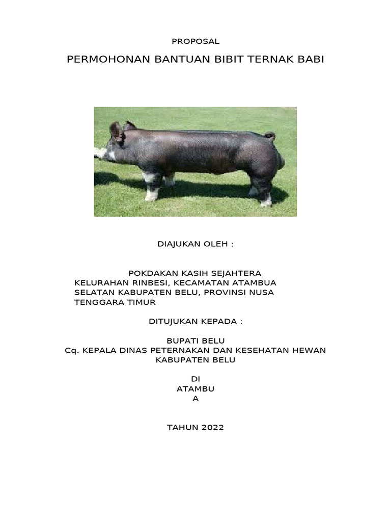 Proposal Ternak Babi | PDF