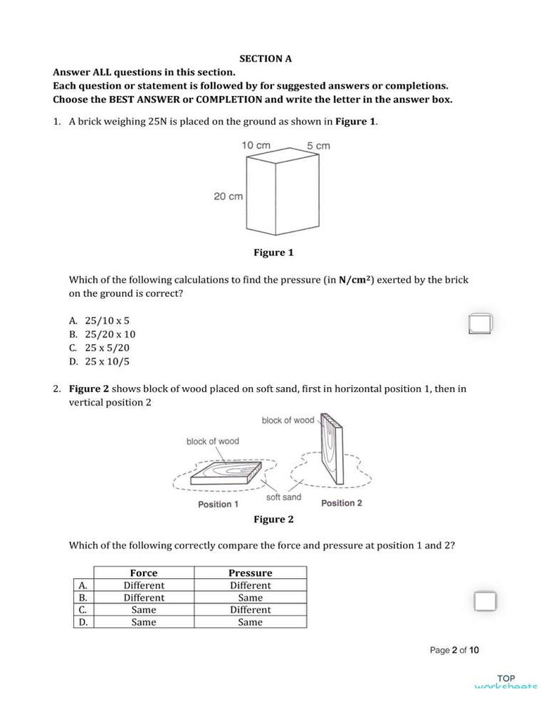 Year 7 | PDF