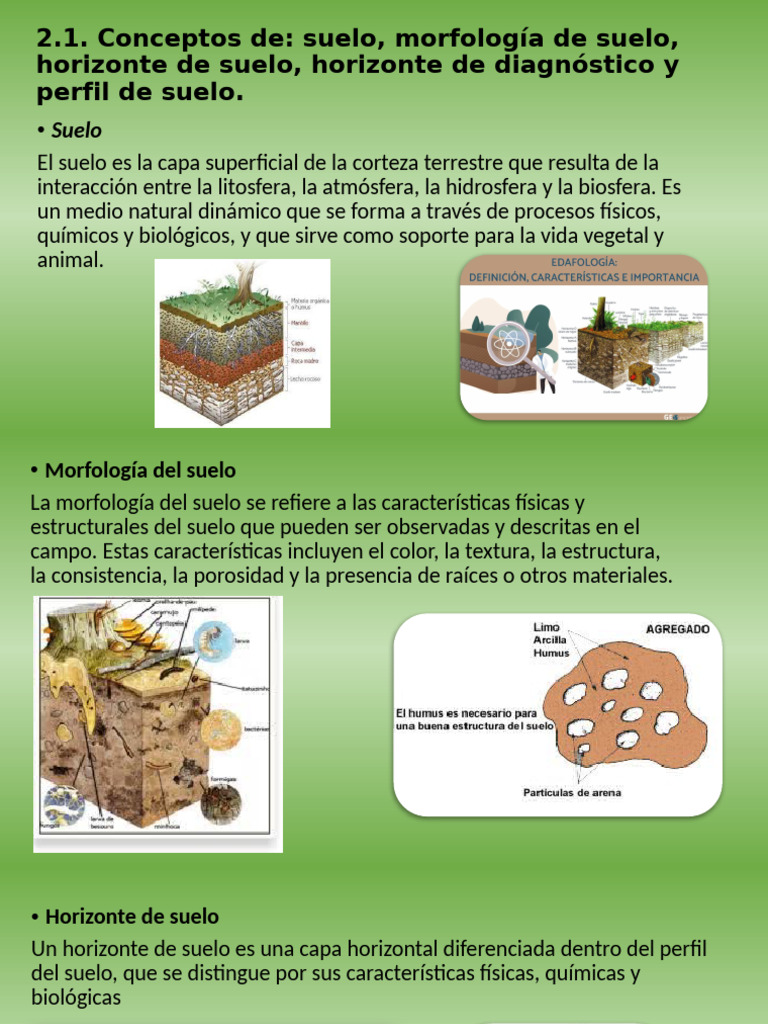 Tashi | PDF | Suelo | Materiales naturales