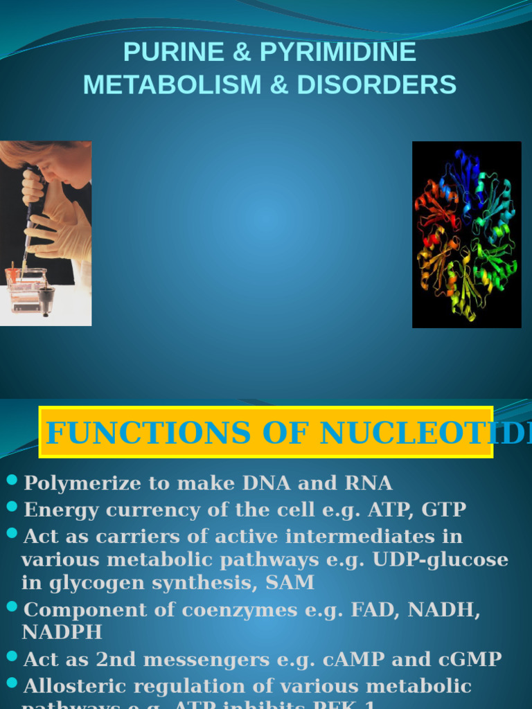 Disorders of Purine Metabolism | PDF | Nucleotides | Gout