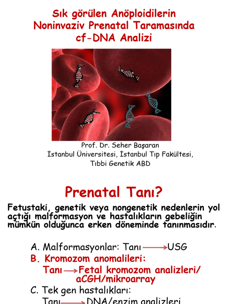 Seher Basaran | PDF