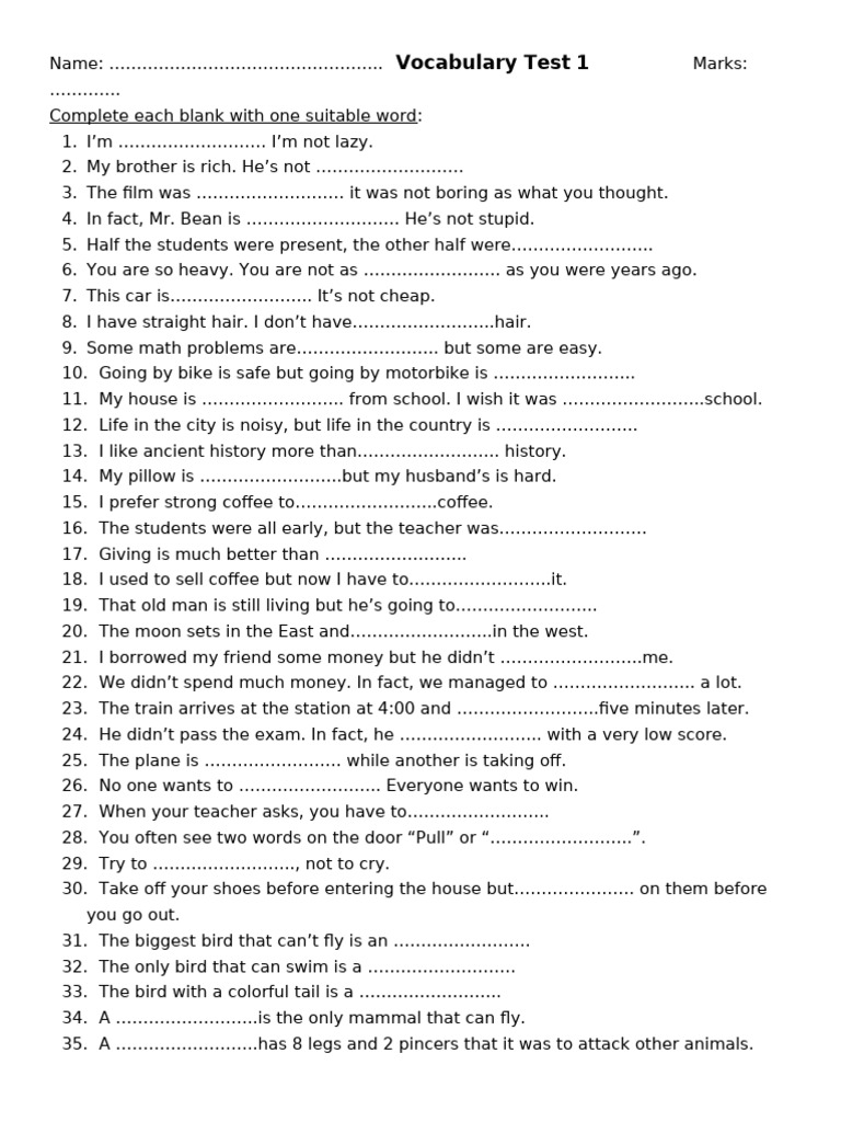 Vocabulary Test: Fill in the Blanks | PDF