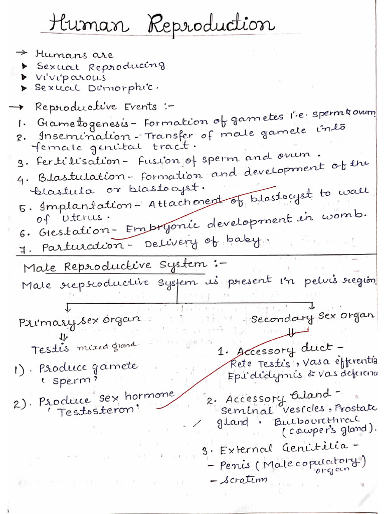 Human Reproduction | PDF