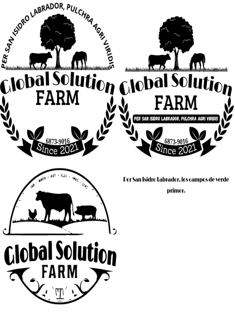 Global Solution Farm - 20241130 - 152359 - 0000 | PDF