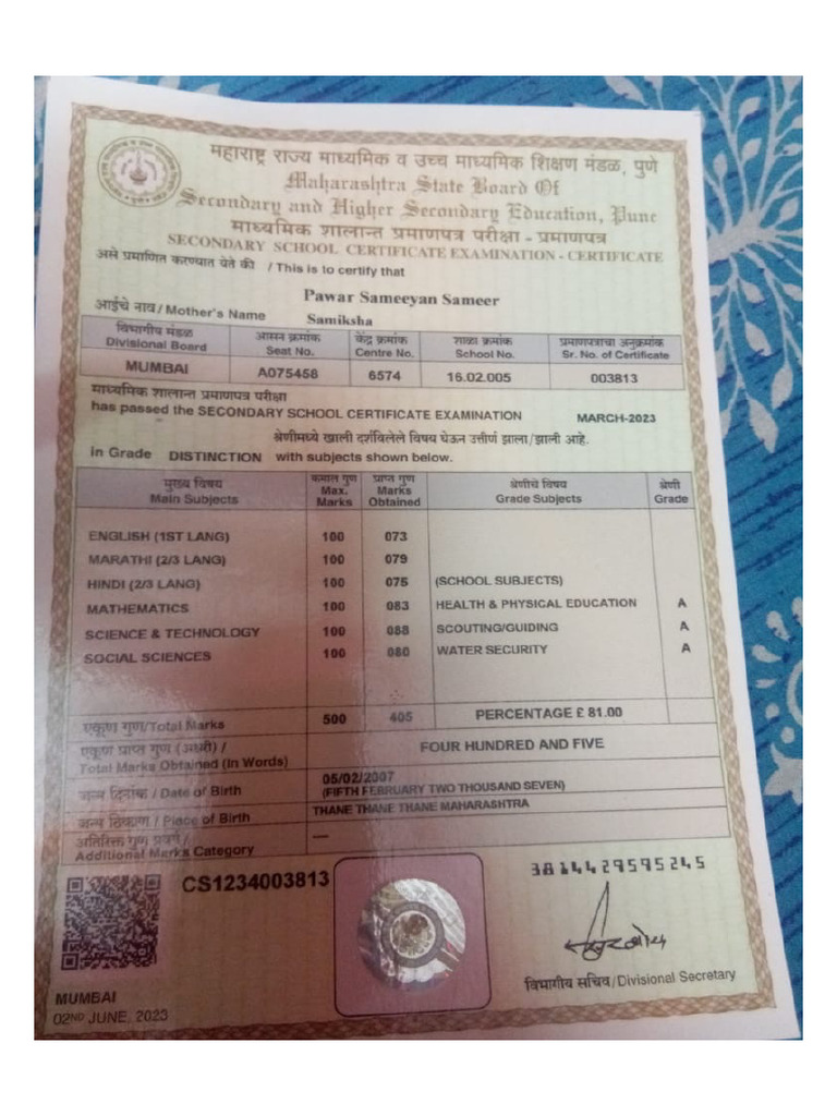 Class X Certificate | PDF